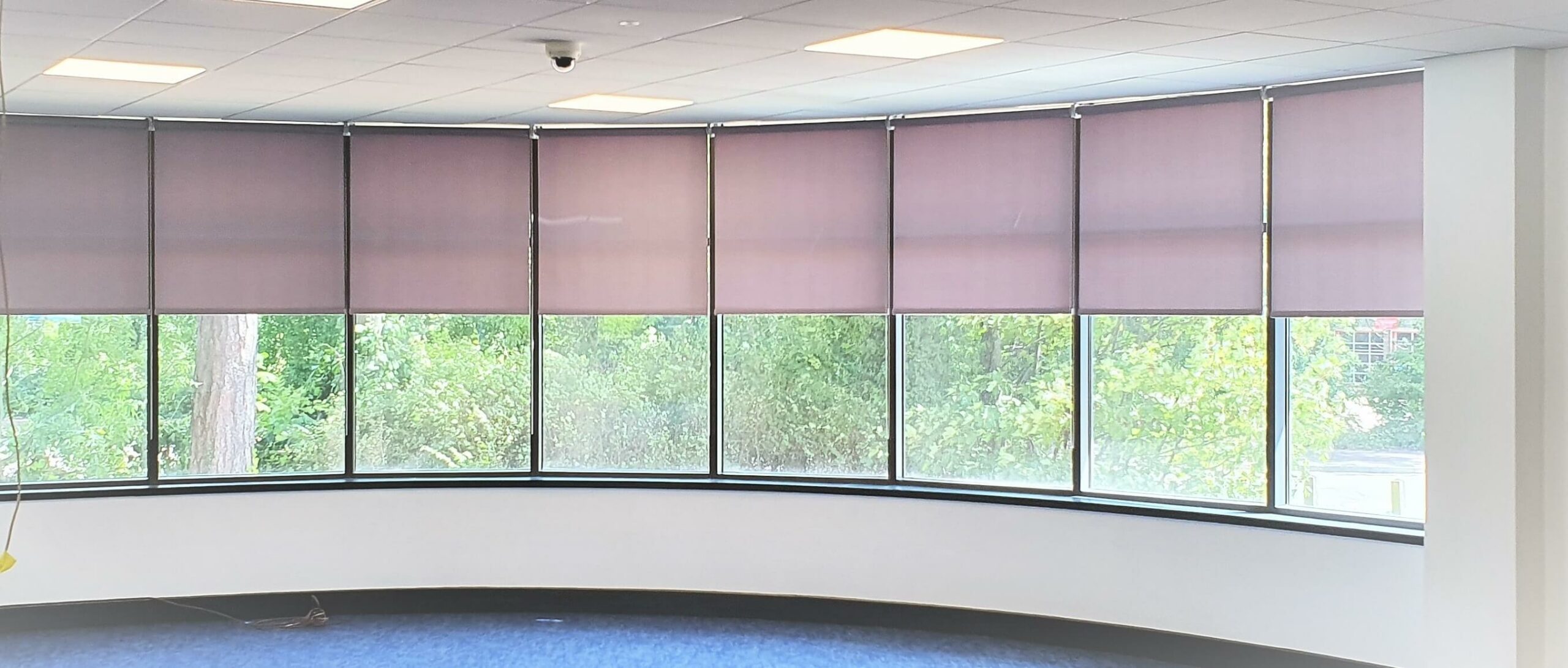 Blinds - Blind & Film